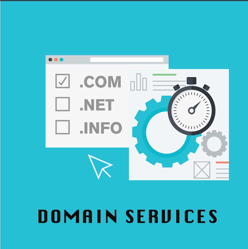 Domain Administration Services for Small Business - Net Iconic Digital ...