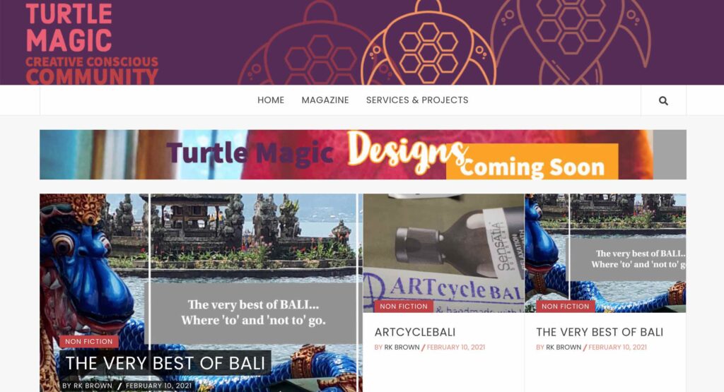 Turtle Magic - Net Iconic Digital Marketing
